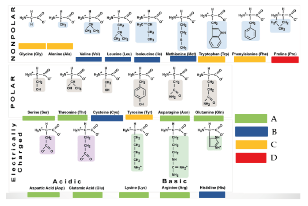 Science | Yeast Flavour Development – The Brewers Journal