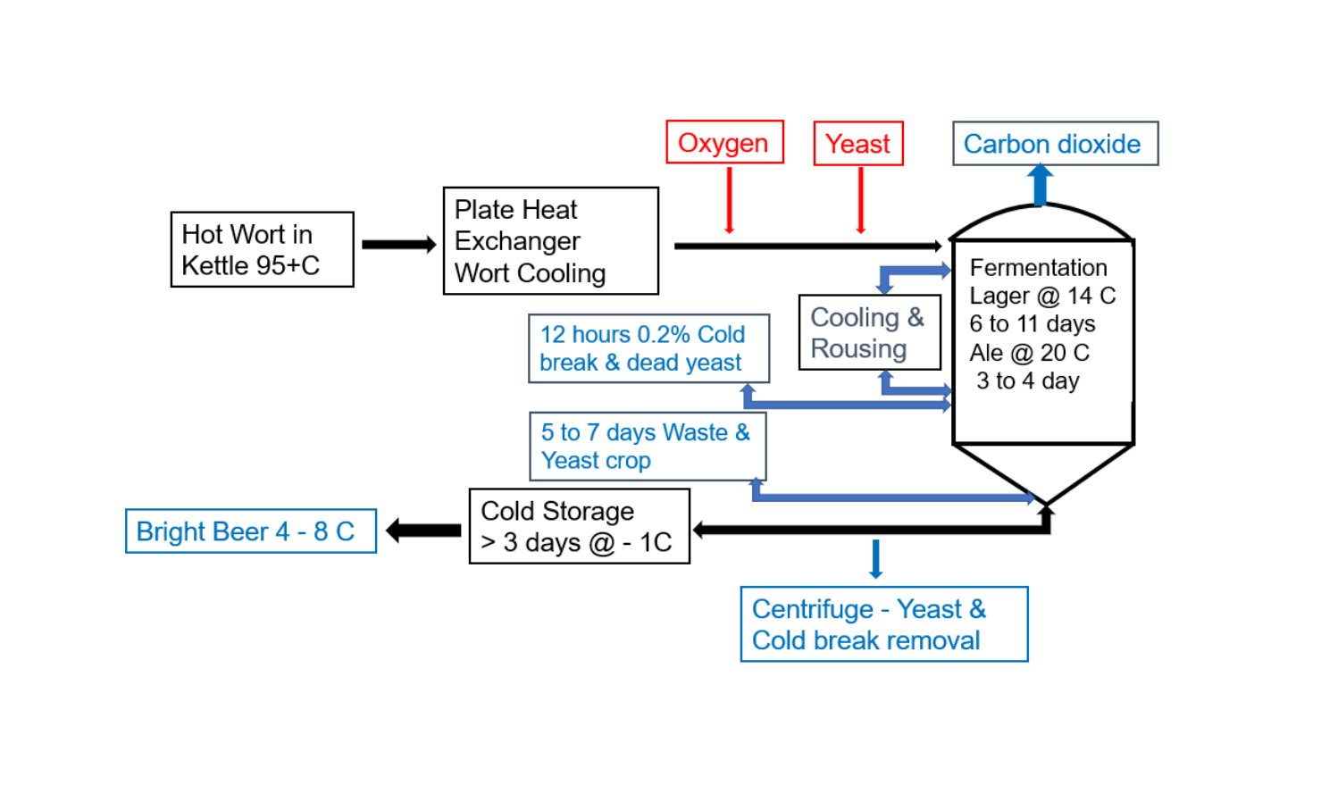 Science | Yeast growth – The Brewers Journal