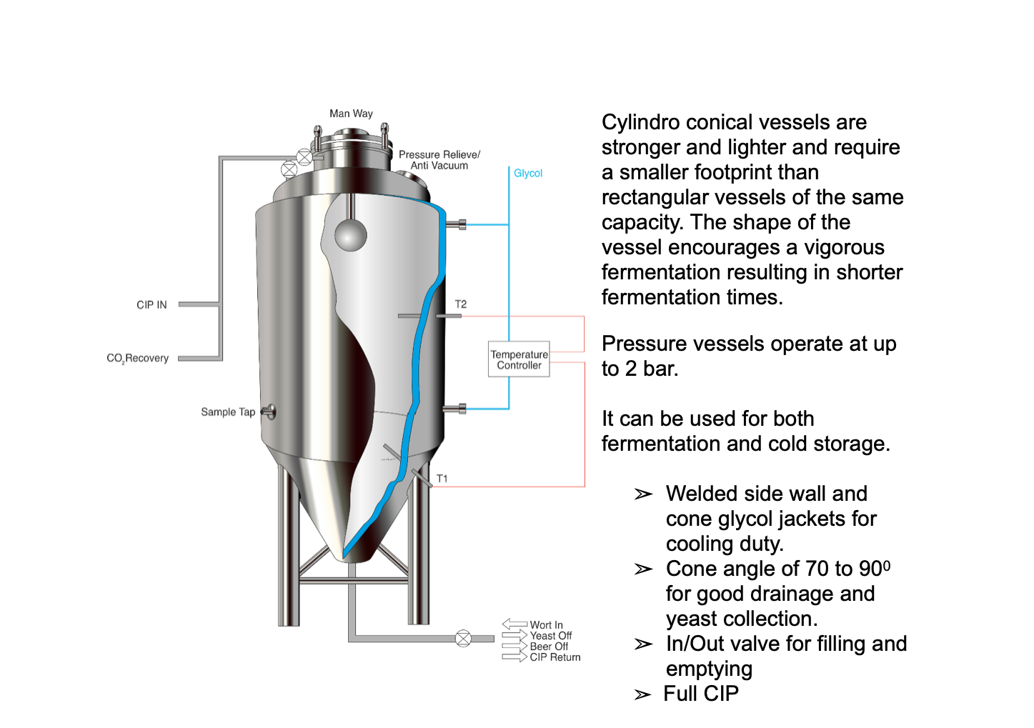 Science | Yeast growth – The Brewers Journal